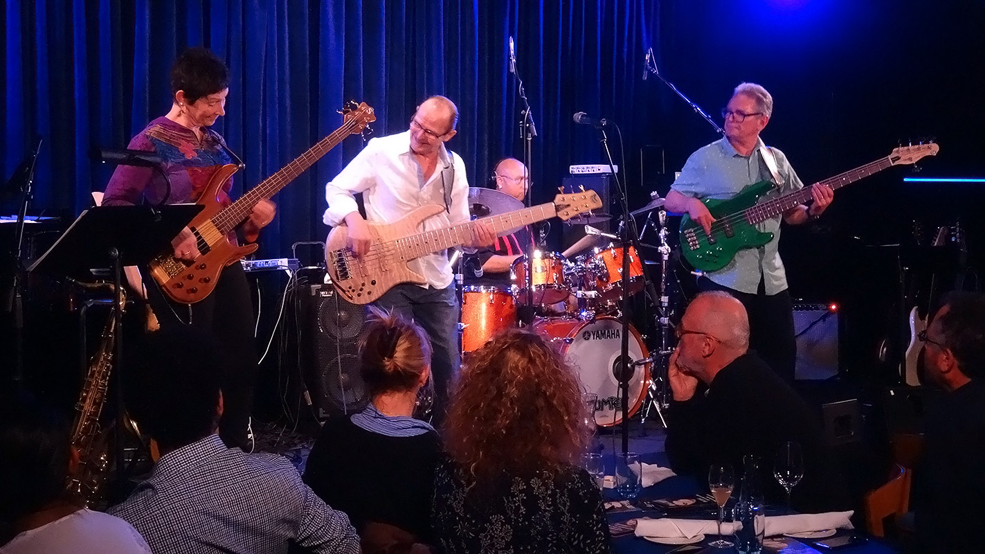 16-strings-of-bass - Wayne Jones AUDIO