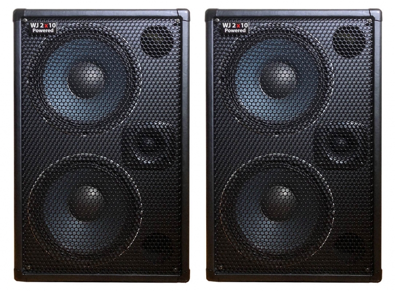 WJ 2×10 1000 Watt Powered Bass Cabinet - Wayne Jones AUDIO